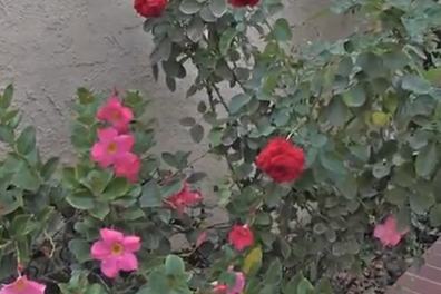 Realty Tour: “22 Antietam” | David Amirian